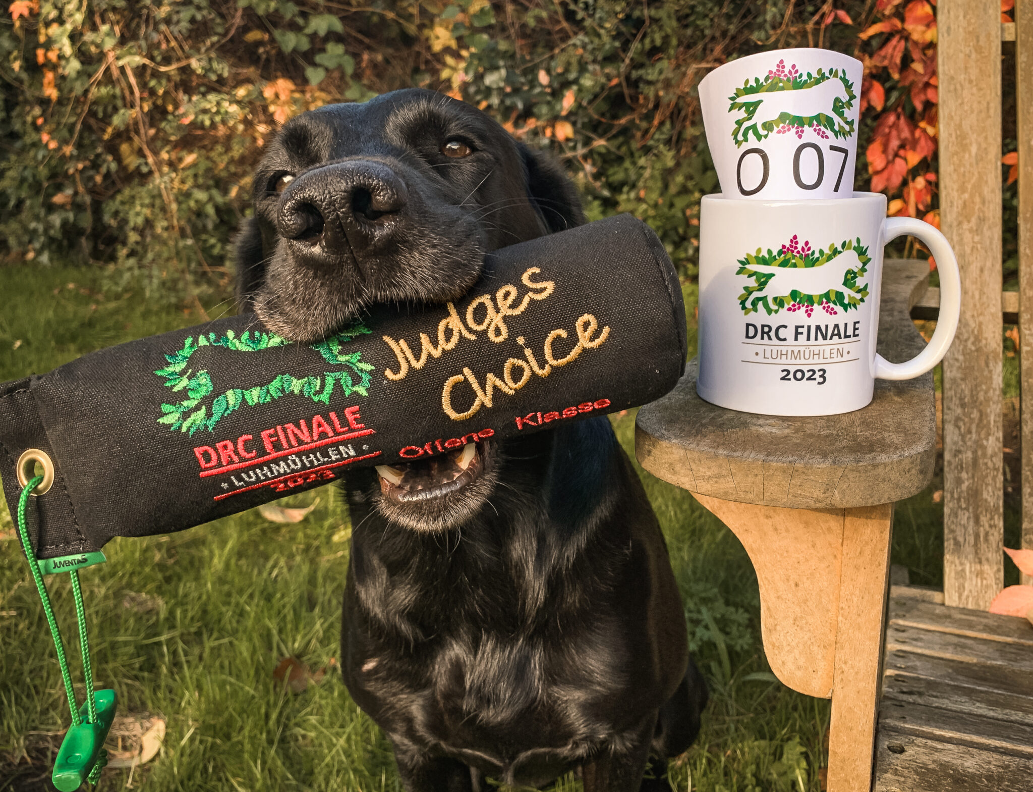 Glengad | Herzlichen Glückwunsch!